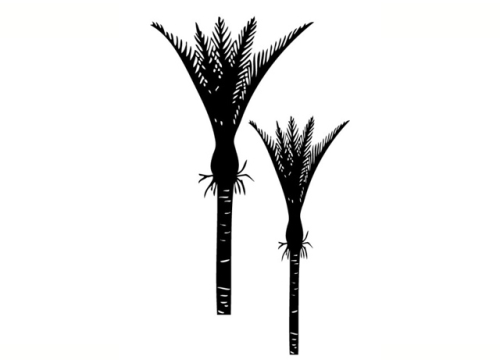 Nikau Palms - Grafix Wall Art